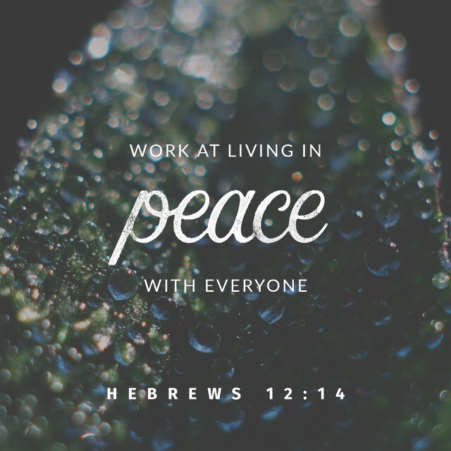 How do I Achieve Peace AND Be Holy? – Elihu's Corner